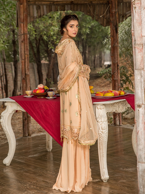Zeenat by Zebtan Formal Collection Vol-13 – ZN-02 – YourLibaas