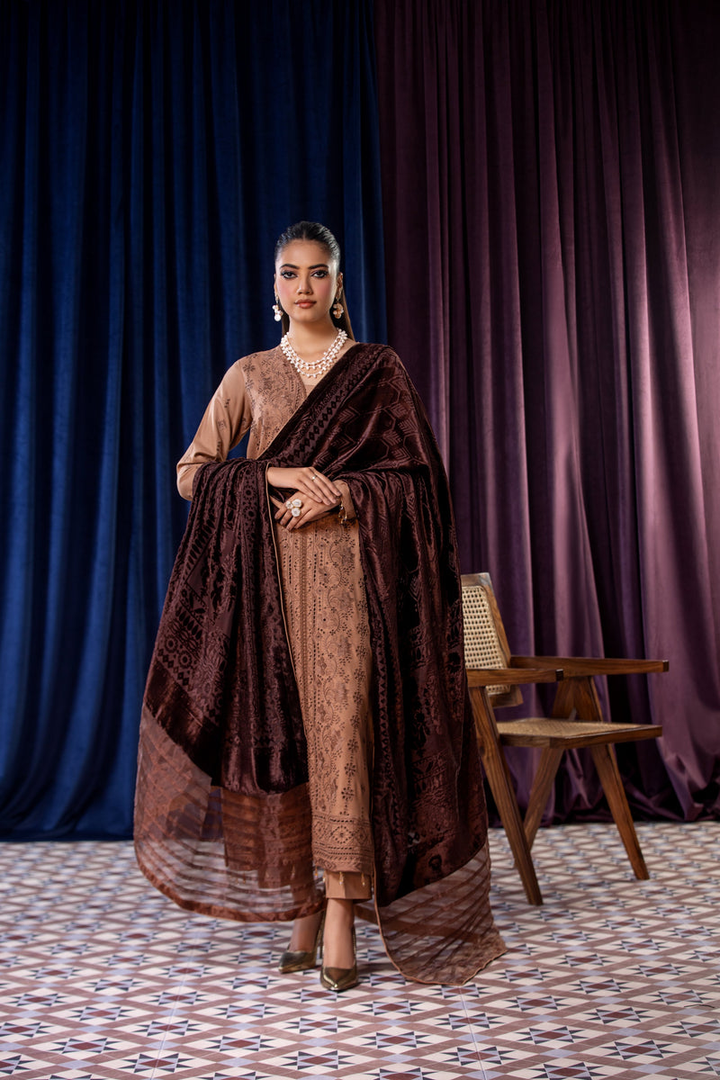 Beige Embroidered Wool Pakistani Suit with Palachi Shawl | Lala Winter ...