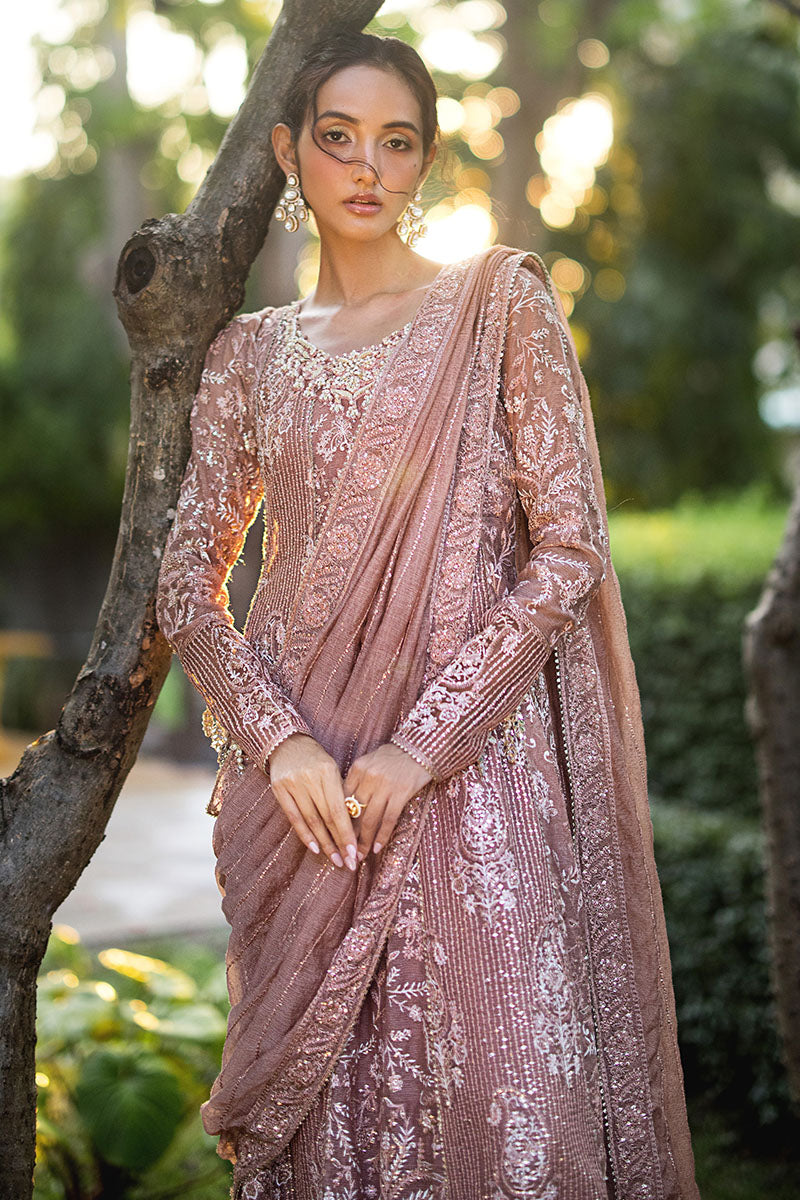 Mushq Roohi Peach Net Wedding Pakistani Suit – Vaniya | Perfect for ...