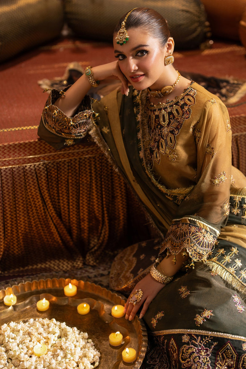 Alizeh Jhalak Luxury Formal Pakistani Chiffon Suit - 06-ZABREEN ...