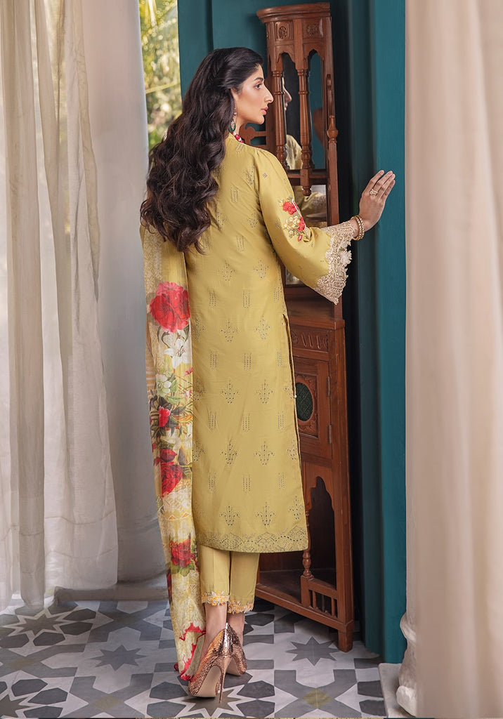 Elaf Festive Chikankari Collection 2022 – EFC 7- Opulencia – YourLibaas