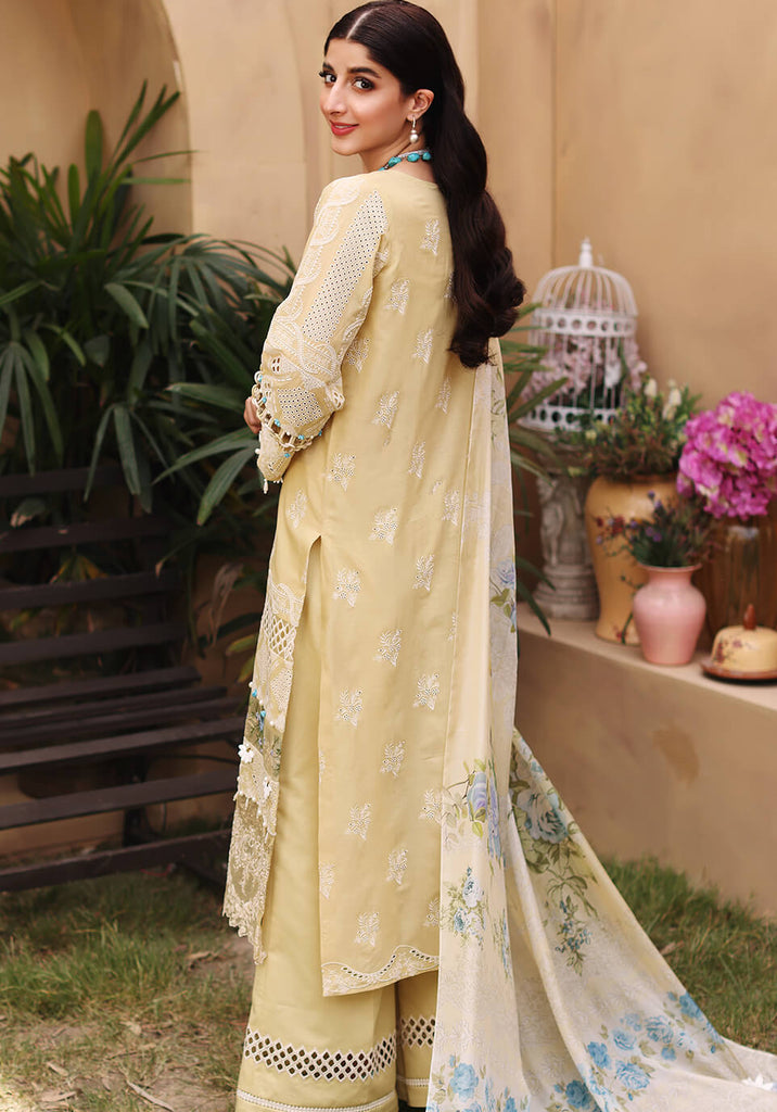 Elaf Luxury Festive Collection – ELF-5 Sundance – YourLibaas