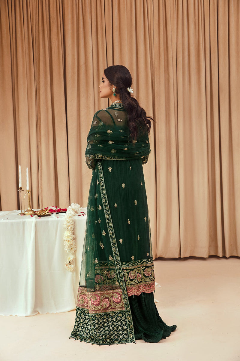 Farasha Tabeer Wedding Formals – Zamurd – YourLibaas