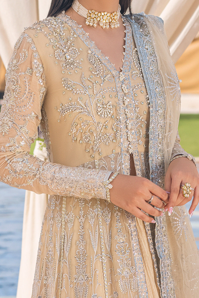 Mushq Monsoon Wedding Luxury Chiffon Collection – AFTERGLOW – YourLibaas