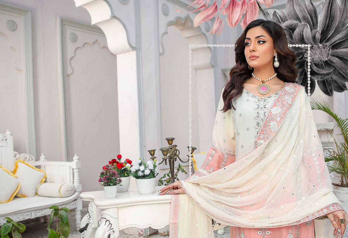 Poshak Mehrab Luxury Chiffon Collection – D-2 – YourLibaas