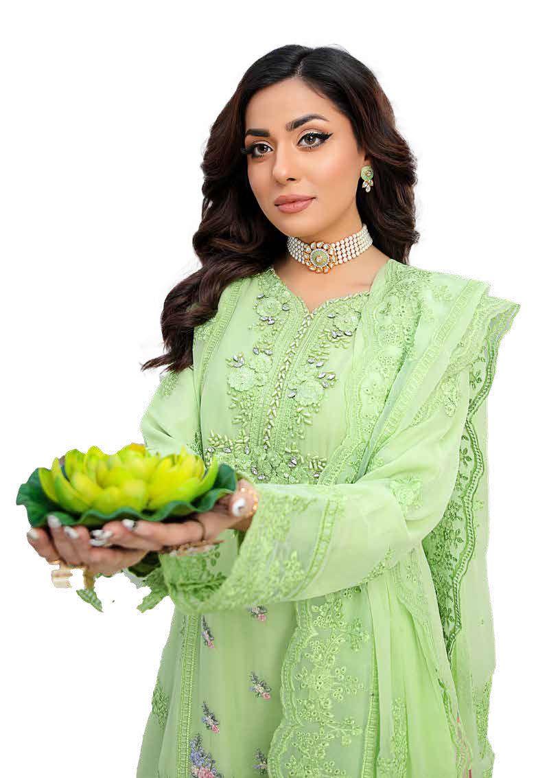 Poshak Mehrab Luxury Chiffon Collection – D-6 – YourLibaas