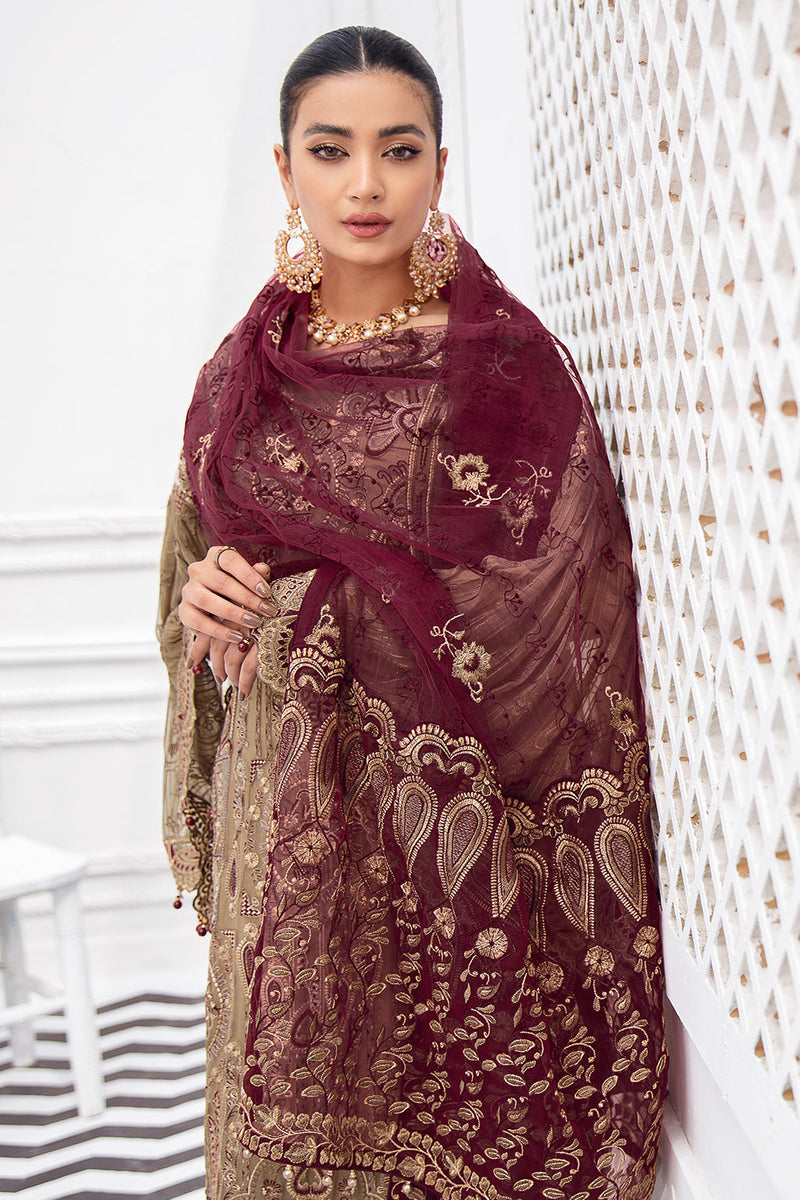 Ramsha Rangoon Chiffon Collection Vol-8 – D-801 – YourLibaas