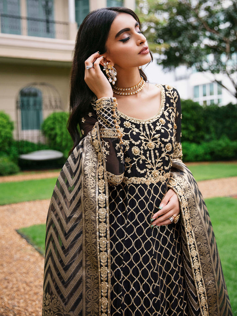 Roheenaz Aafreen Luxury Chiffon Collection – Leena – YourLibaas