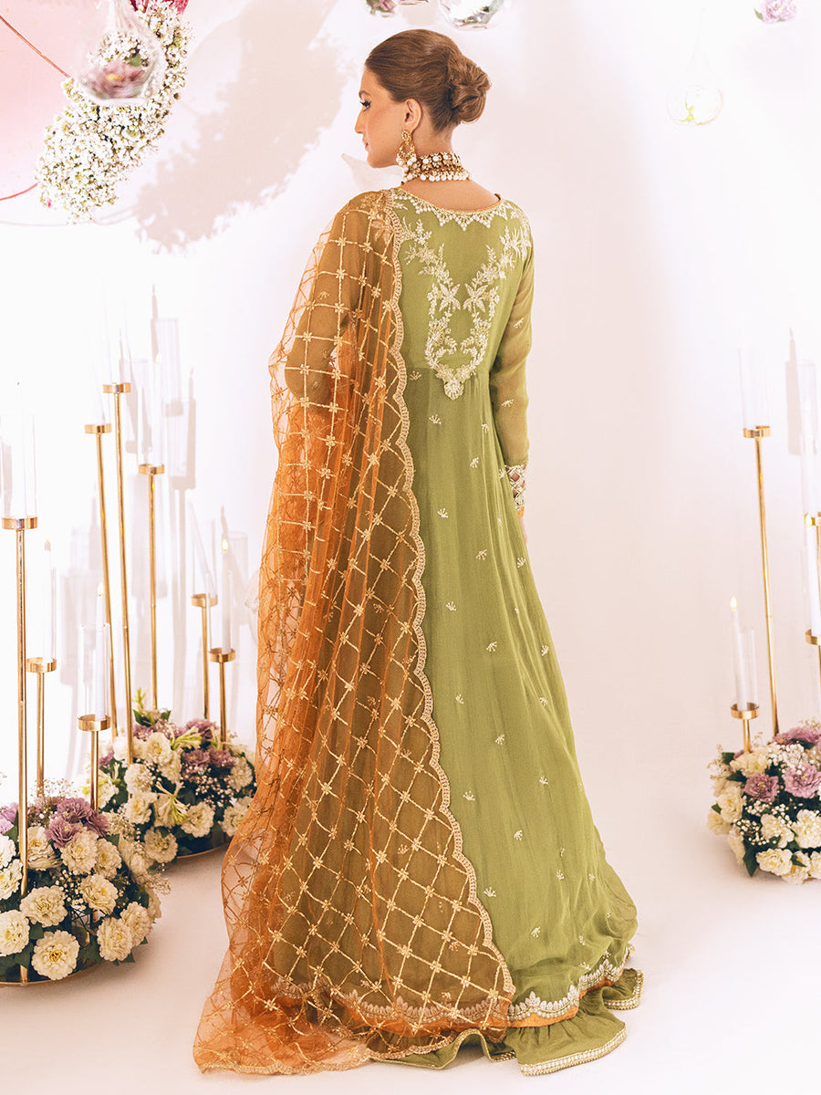 Roheenaz Sawariya Luxury Kalidaar Chiffon Formal Collection – DN-05 ...
