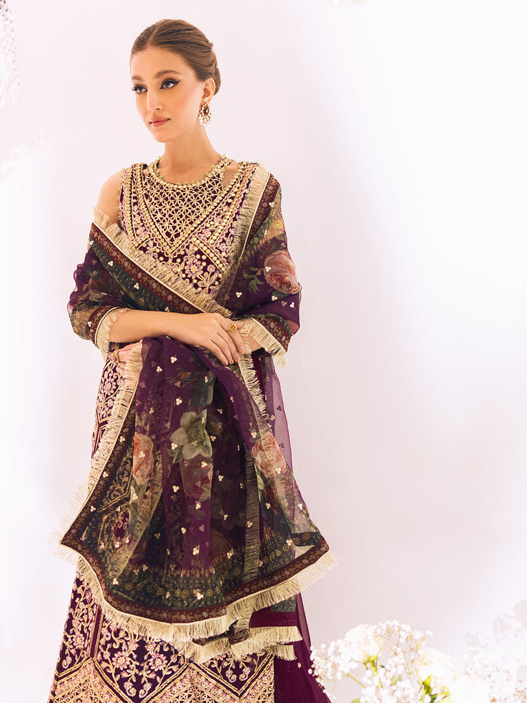 Roheenaz Sawariya Maroon Chiffon Pakistani Suit | Luxury Kalidaar ...